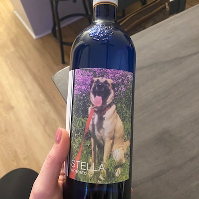 Personalized Dog or Cat Wine Label With Custom Story on the Back Gift ...