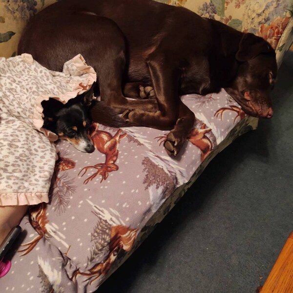 Cow Spots Patterned Heat Transfer Vinyl Sheets 11.8x11.8inch,iron on ...