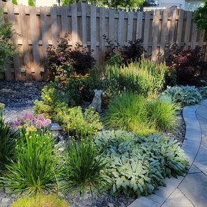 Toadstool Concrete Birds Bath Statue Massive Birds Bath Figure Outdoor ...