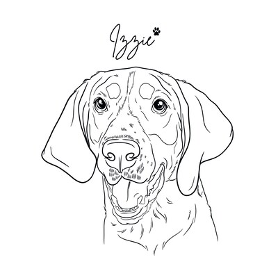 Dog Outline, Custom Line Drawing, Pet Portrait Full Body, Inked Line ...