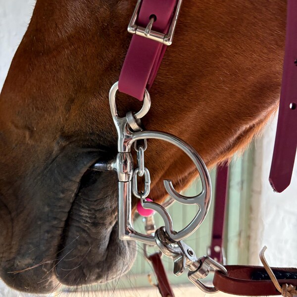Cavalon Eggbutt Soft Leather Snaffle Bit - Etsy