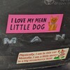 I Love My Mean Little Dog Vinyl Bumper Sticker | Chihuahua Bumper ...