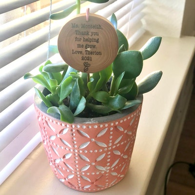 Plant Pun Garden Markers Plant Puns Wooden Yard Art Funny Plant Puns ...