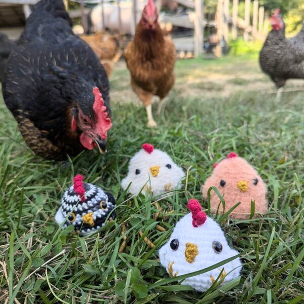 Crochet Chicken Fidget Toy Pattern, DIY Amigurumi Bird Tutorial ...