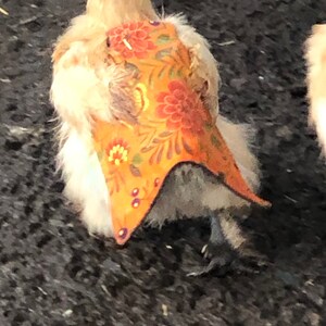 Mermaid Chicken Tutu | Etsy