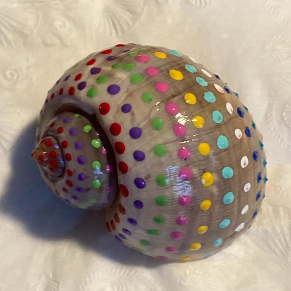 GOLD*** Giant Apple Snail Shells for Crafting, Craft Shells, Craft ...