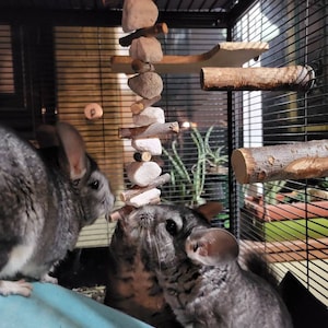 Large Ceramic House Chinchilla House | Etsy