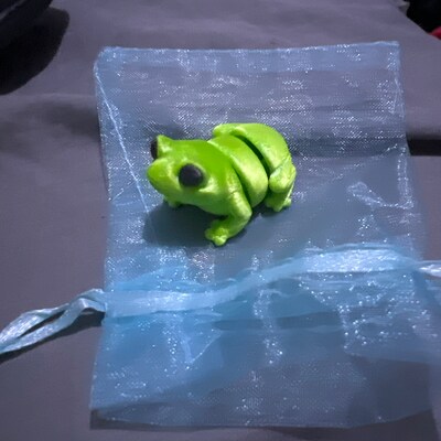 Fidget Frog Fidget Toy, Articulated Sensory Toy, Tiny Frogs, Flexible ...