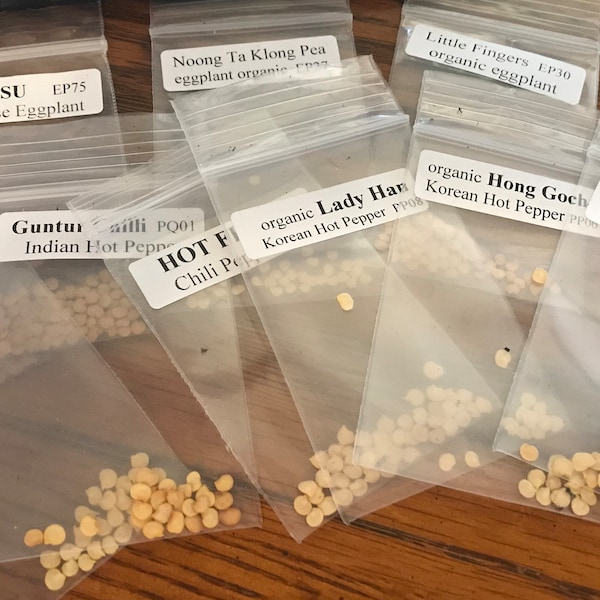 20 Organic Hong Gochu Large Korean Hot Pepper Chili Seeds 홍고추, Sourced ...