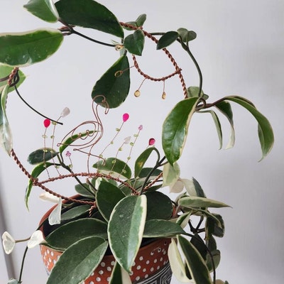 Twisted Copper Flamingo Hoop Trellis Hoya Trellis Circle Trellis ...