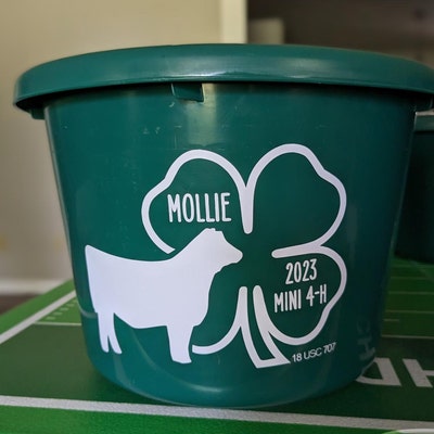 4-H Year End Certificates, Printable 4H Participation Certificate PDF ...