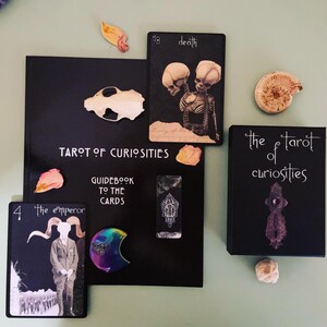 The Tarot of Curiosities 78 Card Deck | Etsy