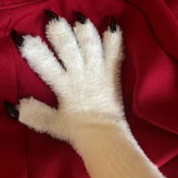 Fursuit Wing Customization Furry Wings - Etsy Canada