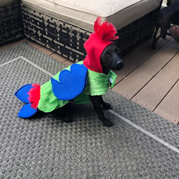 Dog Bird Costume- Dog Halloween Costume- Pet Costume- Pet Bird Costume ...