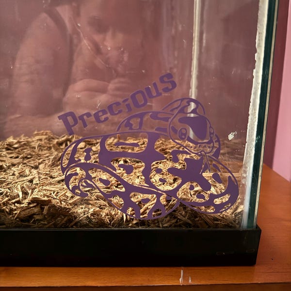 Ball Python Custom Name Decal | Pied Ball Python - Etsy