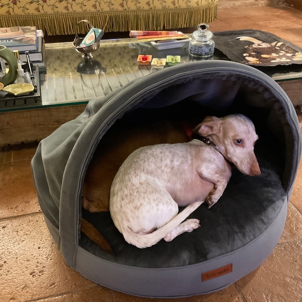 Cozy Cave Bed for Dog, Snuggle Bed, Graphite Dog Bed, Dog Bed, Psia ...