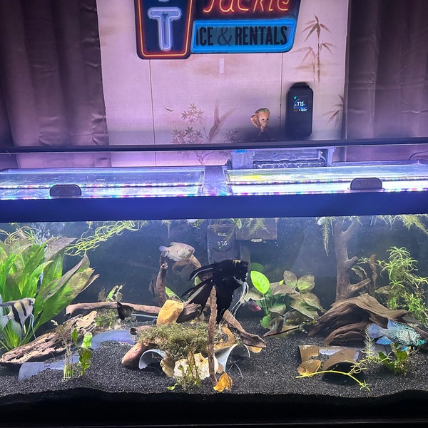 Hygger Advanced Light Riser, Attractive Stable Elevated Stand, Quality ...