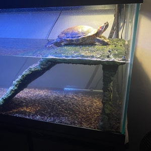 Custom Large Reptile Bearded Dragon Basking Platform MADE TO - Etsy