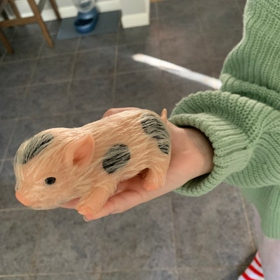 Reborn Silicone Mini Baby Pig Full Body Lifelike Piglet - Etsy UK