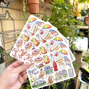 Connecticut State Print. Illustration. the Nutmeg State. - Etsy