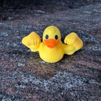 Muscular Arms Duck Meme - Never Skip Arms Day - 3D Printed Dash Duck ...