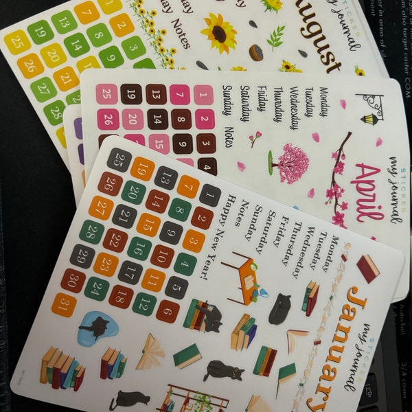 June Monthly Bullet Journal Sticker Kit Strawberry Themed Sticker ...