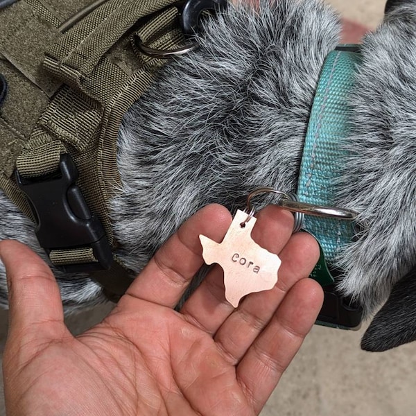 State of Texas (or Select Your State) Pet Name Tag Medium 1" Max ...