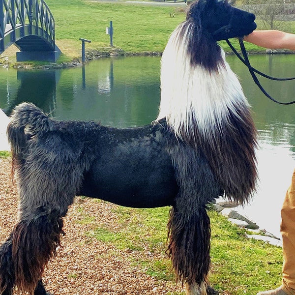 Adorable LLAMAS Llama Alpaca Alpacas Miniature Mini Tiny Figurine ...