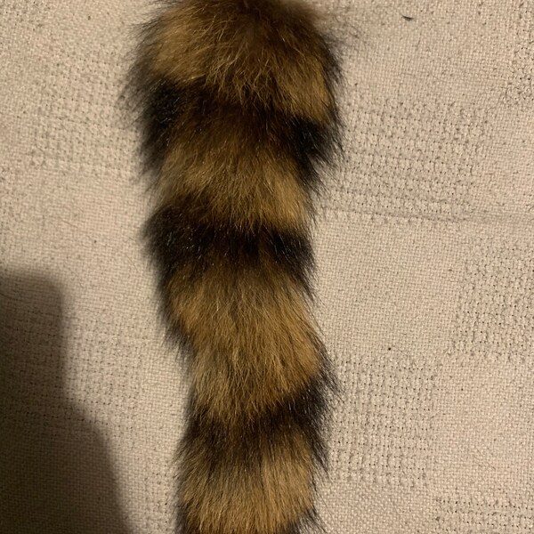 Raccoon Tails | Raccoon Tail Keychain | Taxidermy Keychain | Raccoon ...