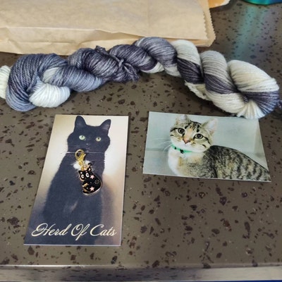 Toe Beans, Sock Club, 85/15 Superwash Merino/nylon Blend, 480 Meters ...