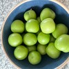 2 Lb ,fresh Green Plum , Greengage ,generik,janerik,seasonal Fruit ...