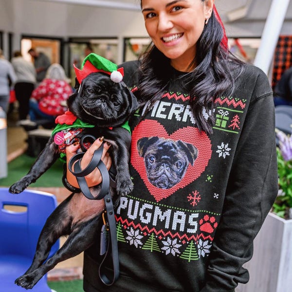 Cockapoo Dog Cute Ugly Christmas Jumper Sweatshirt Sweater. Red ...