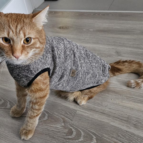 Stylish CAT Rain JACKET, Waterproof Cat Coat, Yellow Vintage Fisherman ...