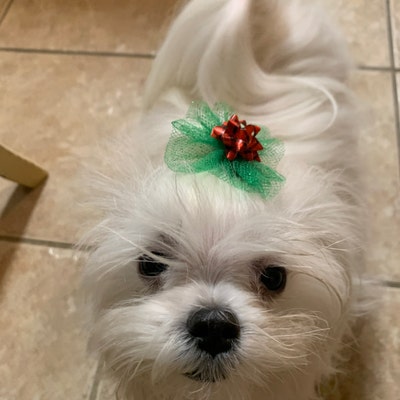 MYSTERY BOW PACK Dog Bows, Grooming Top-knot/ Pig-tail Bows, Dog Hair ...