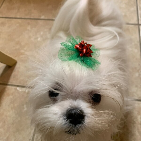 Plain DOG BOWS, Tulle Dog Bows, Grooming Dog Topknot Bows - Etsy