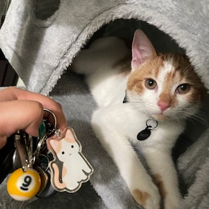 Flopped Red Doberman Pinscher Dog Breed Waterproof Vinyl Sticker Kawaii ...