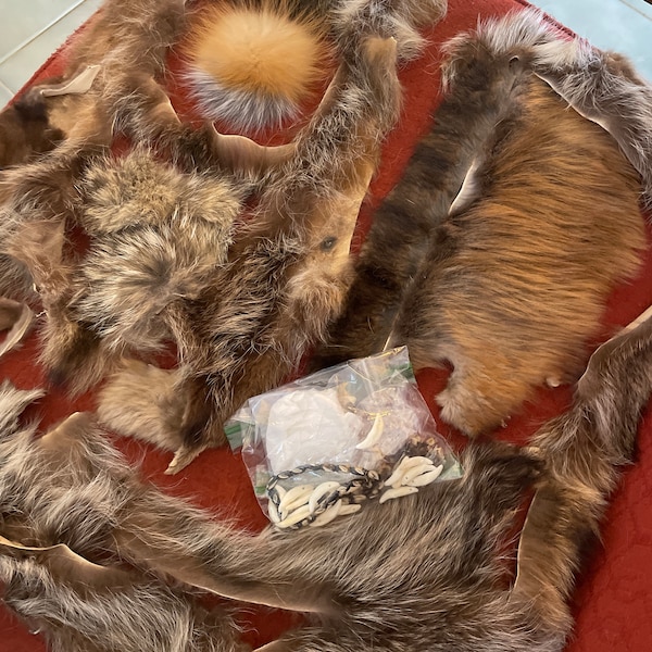 Salvaged Fur Scraps - CHOICE of Species - Red Fox Coyote Raccoon Etc - Etsy