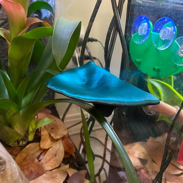 Frog and Gecko Hanging Mushroom Platform - Etsy