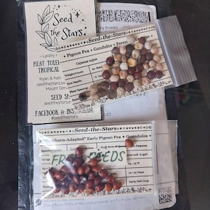 25 Sweety Drop Pepper Seeds, Heirloom Red Biquinho Seeds, Brazilian ...