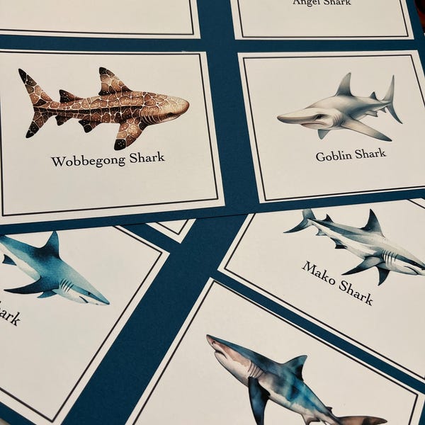 Ocean Animal Anatomy Mini Posters, Morning Basket, Homeschool, Learning ...