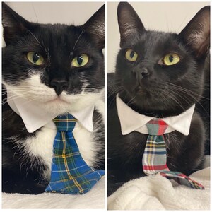 Red Chevron Skinny Cat Tie Cat Necktie Cat Necktie collar | Etsy