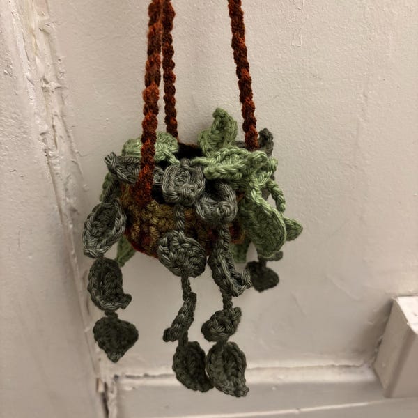 Tiny Pothos Crochet Pattern Bundle Pothos Jade, Monstera and String of ...