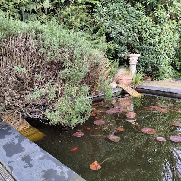 Hedgehog Pond Ramp, Hedgehog Conservation, Pond Decorations, Gardener ...