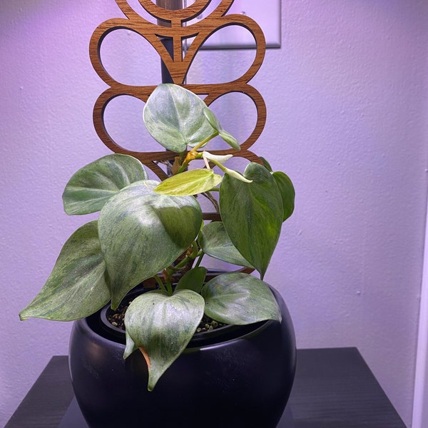 MCM Flower Indoor Plant Trellis (3 Sizes for 2-6" Pots) | Mini & Small ...