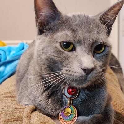 The Emma 007 Bow Pet ID Tag Small Dog Cat Feminine Unique Handstamped ...