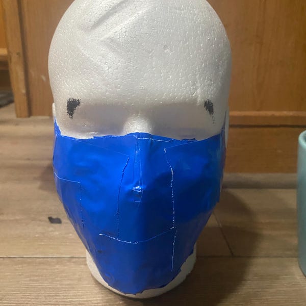 Felted Cat Mask Therian Paper Mache Cardboard DIY Plain White Blank ...