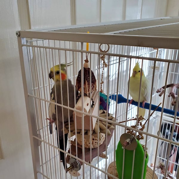 Sola Ball Fun - Hand Made Toys for Small to Medium Pet Birds Using Safe ...