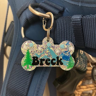 Ice Cream Pet Tag - Etsy