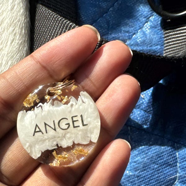 Custom Dog Tag/ Resin Dog Identification / Personalised Dog Tag / Resin ...