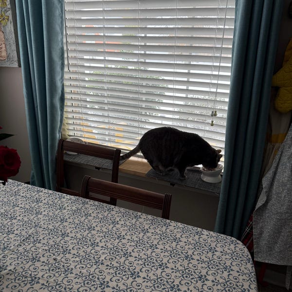 Window Sill Shelf Extension, Window Shelves, Windowsill Extender ...